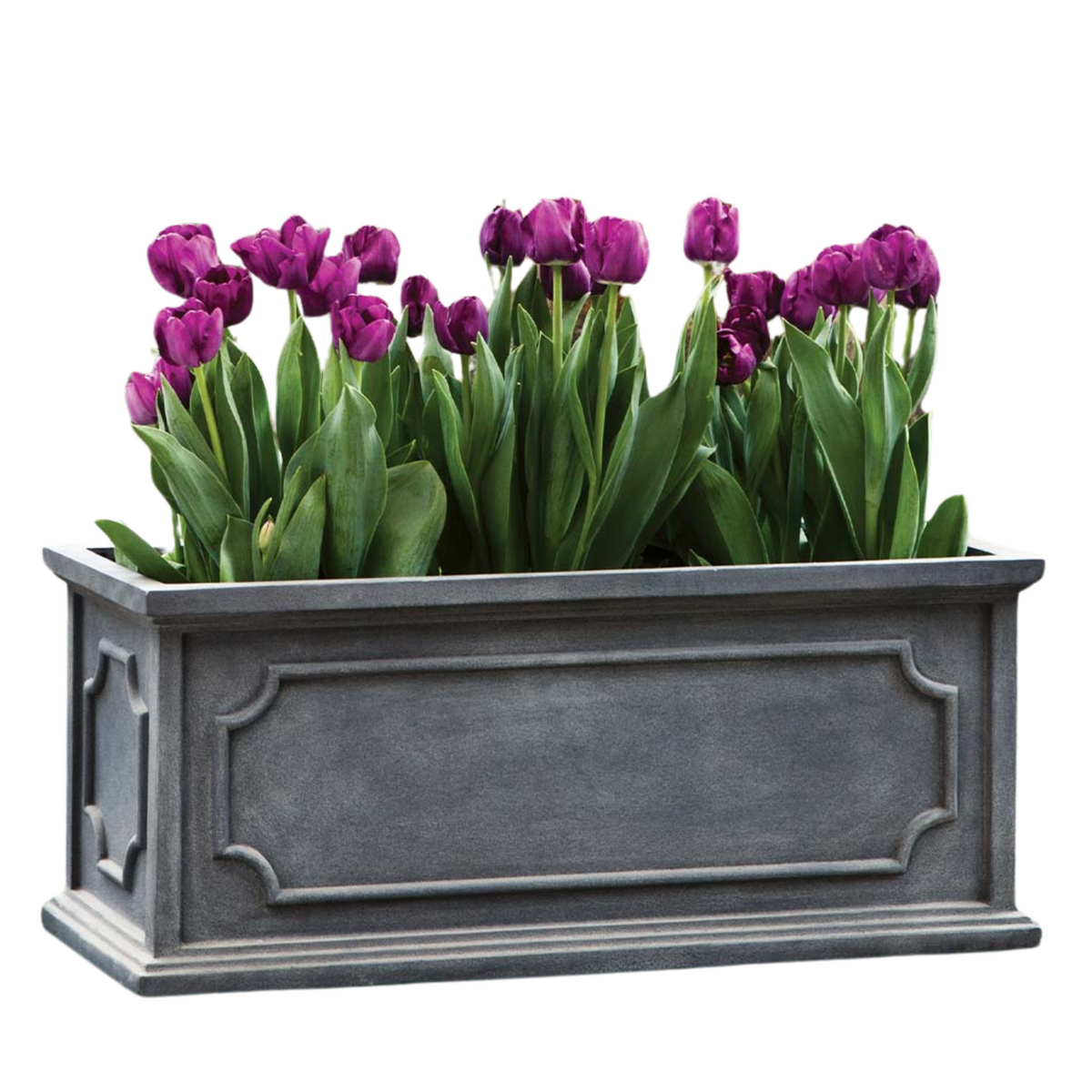Large Hampshire Window Box – The Well Appointed House