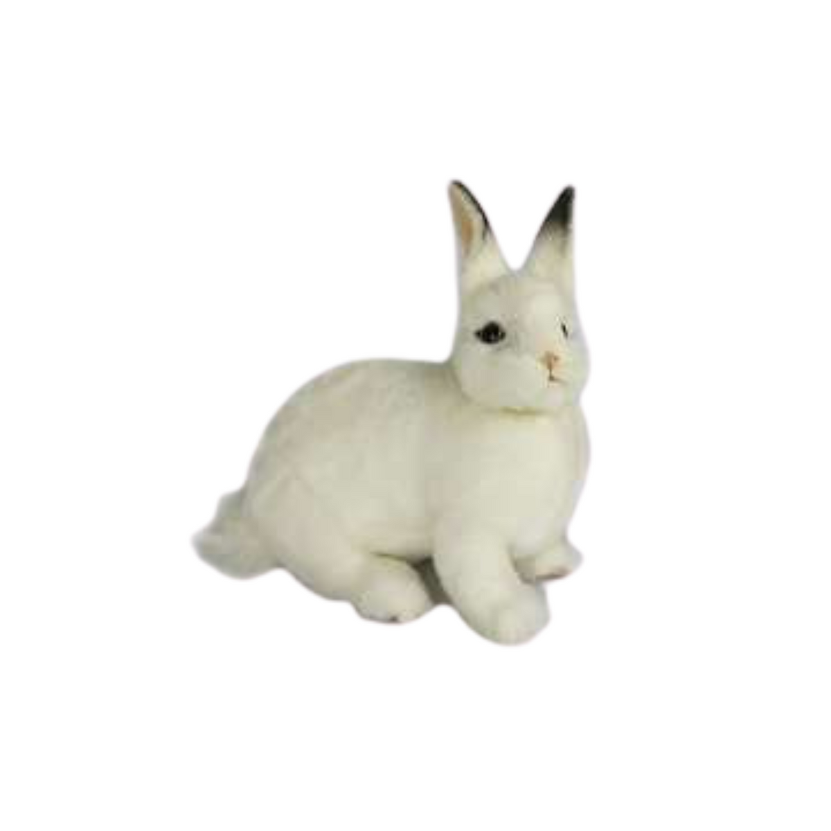 13" White Rabbit Stuffed Animal – The Well Appointed House