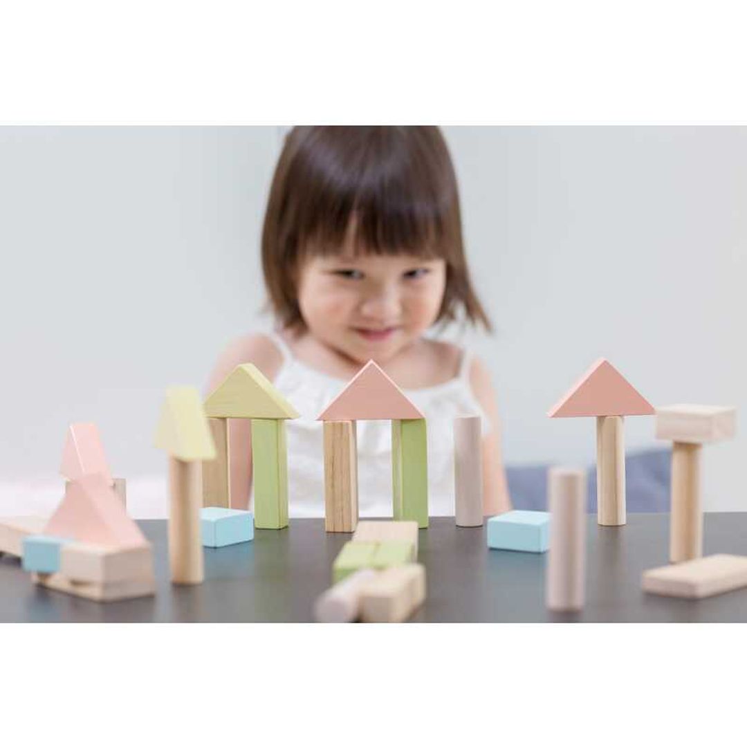 40 Unit Blocks Wooden Kids Toy – The Well Appointed House