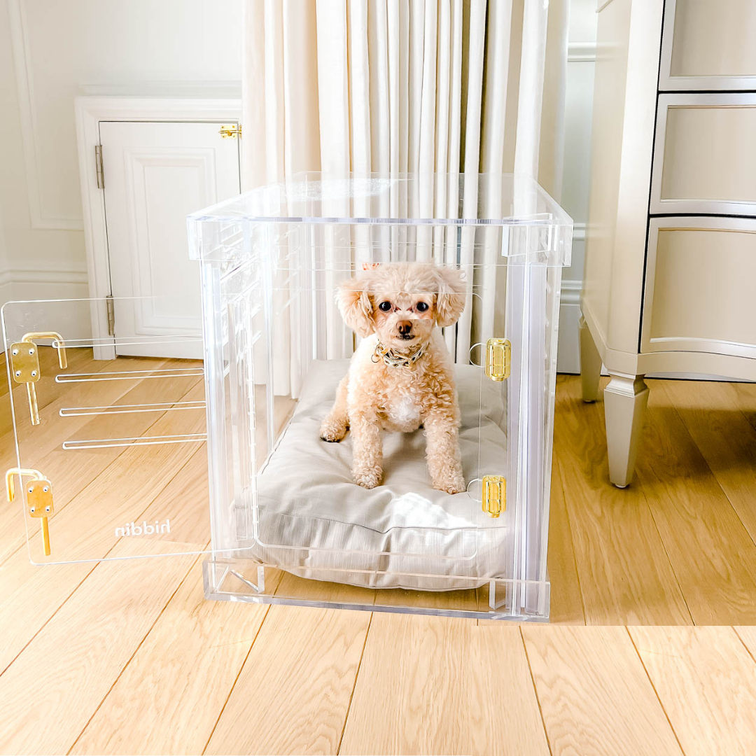 Clear Dog Crate to Gate in Small – The Well Appointed House