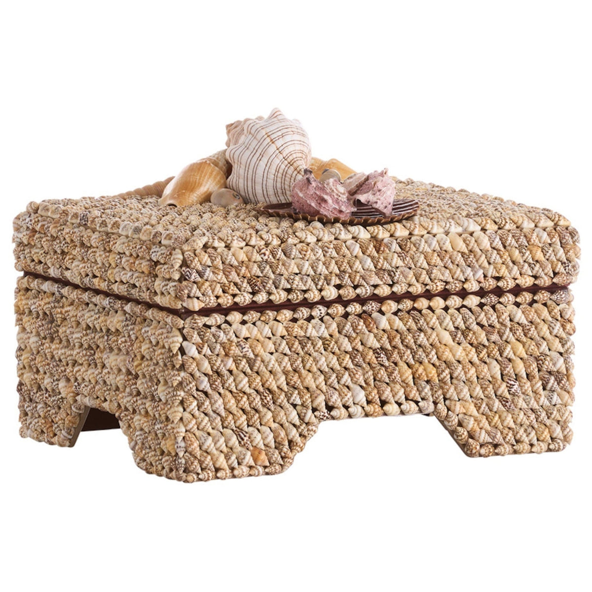 Island Shell Box – The Well Appointed House