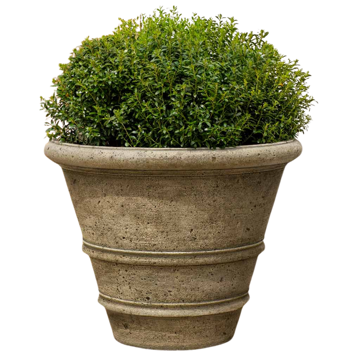 Large Textured Rolled Rim Planter – The Well Appointed House
