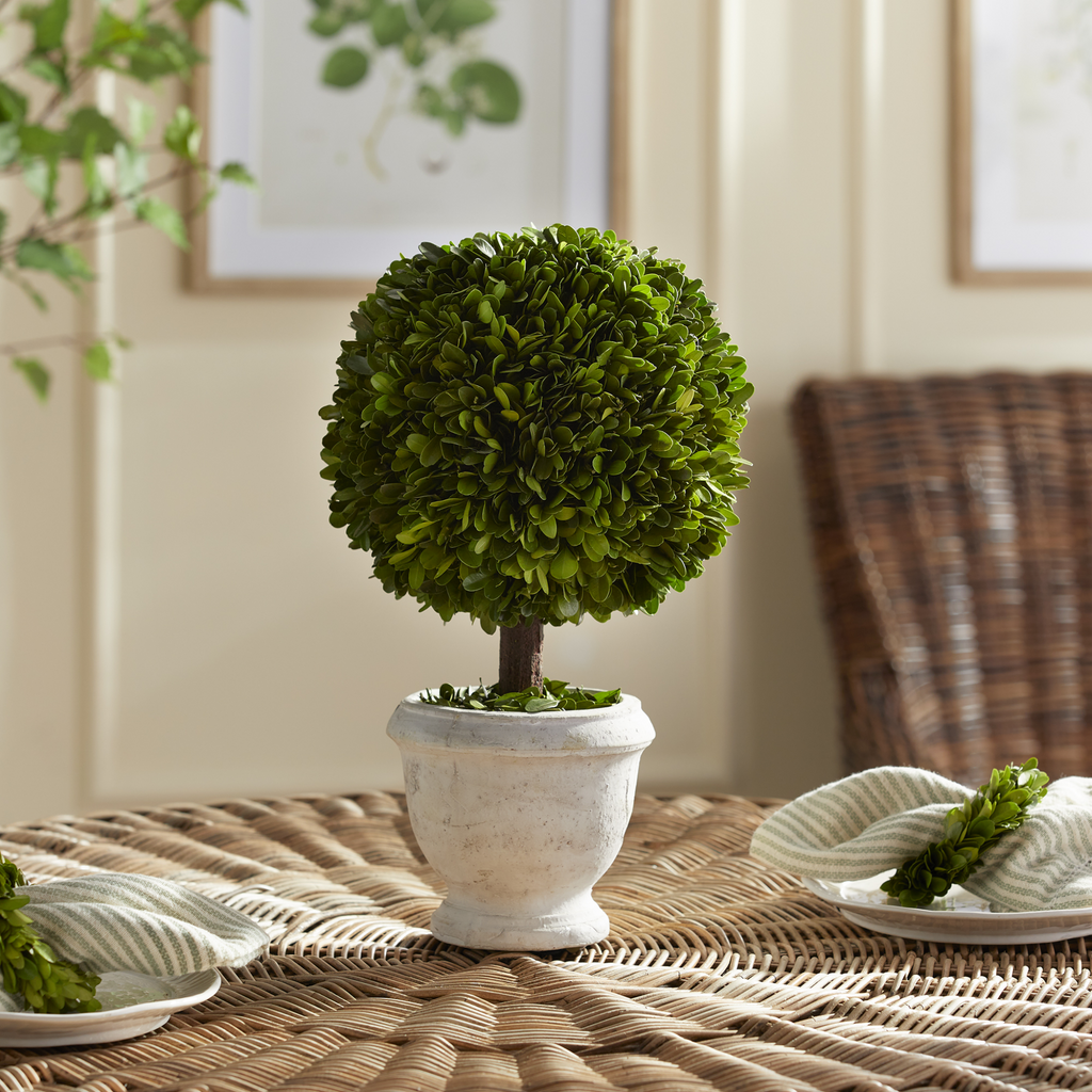 Single 9" Sphere Boxwood Topiary – The Well Appointed House