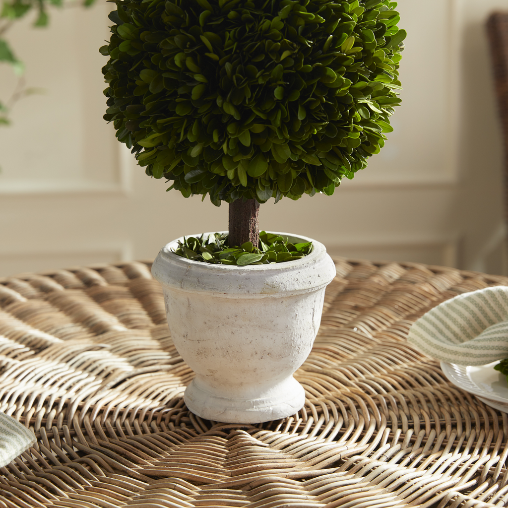 Single 9" Sphere Boxwood Topiary – The Well Appointed House