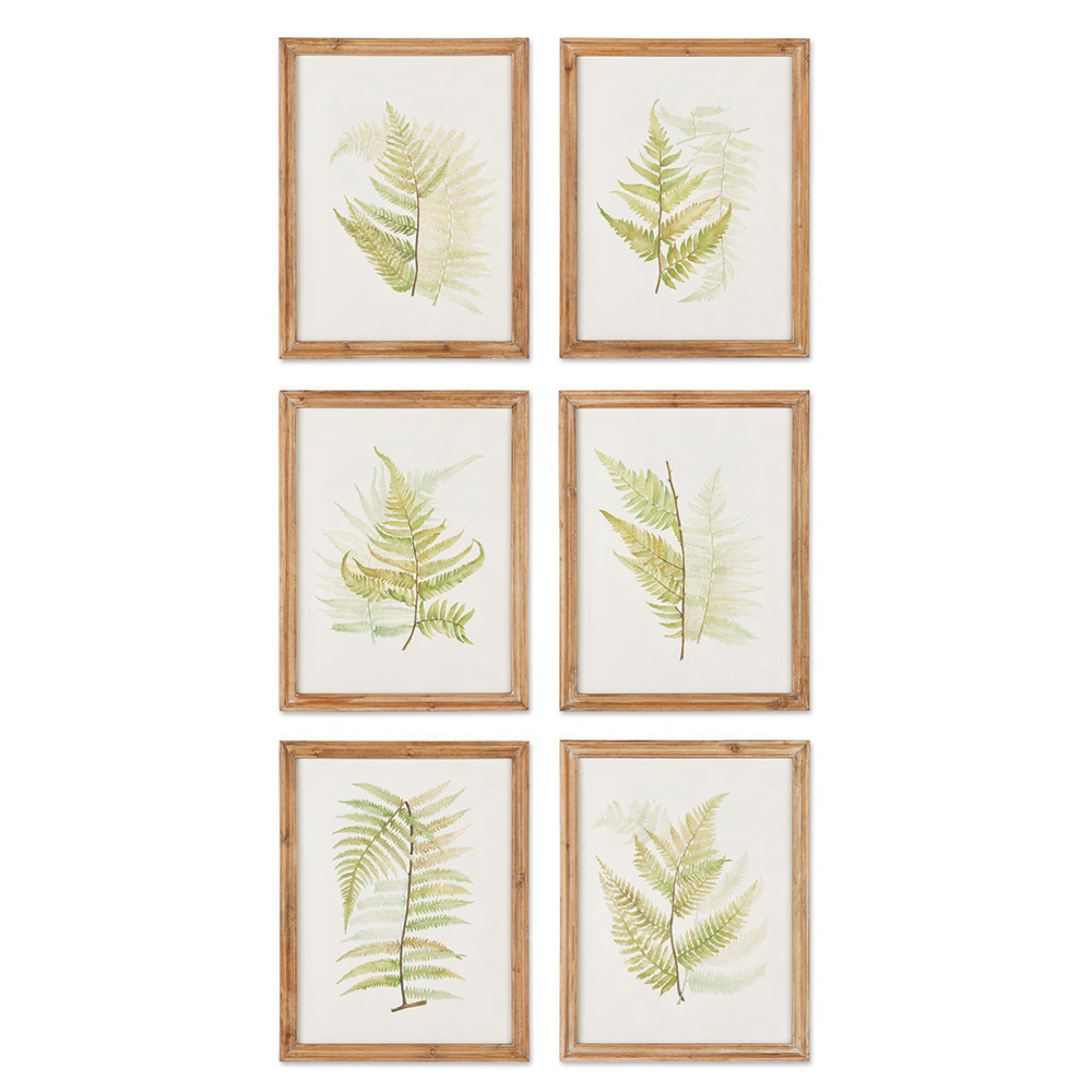 Set of Six Framed Ferns Botanical Wall Art – The Well Appointed House