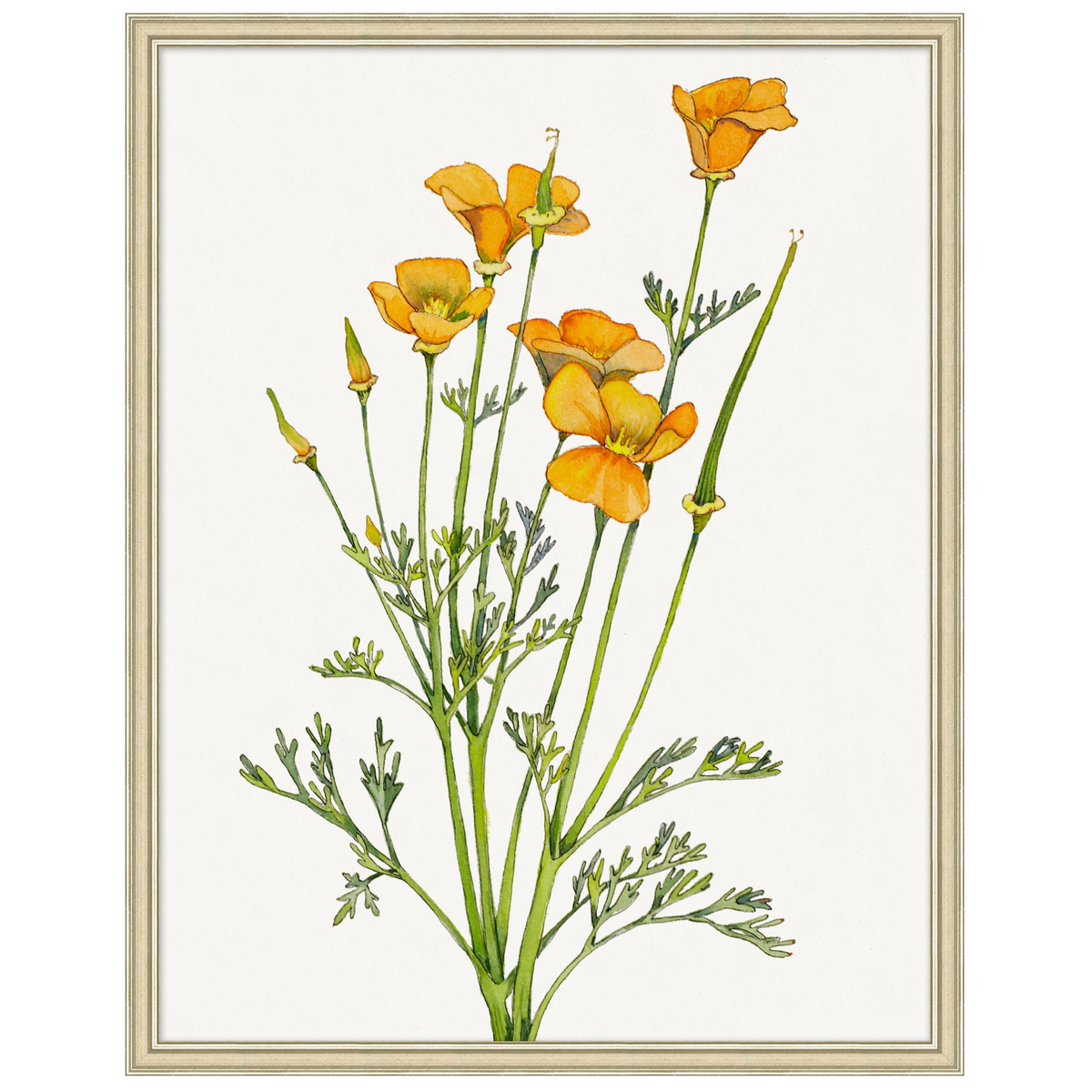 Golden Poppy 1 Framed Wall Art – The Well Appointed House