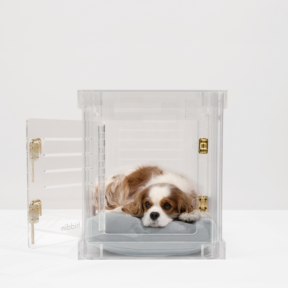 Clear Dog Crate to Gate in Small – The Well Appointed House