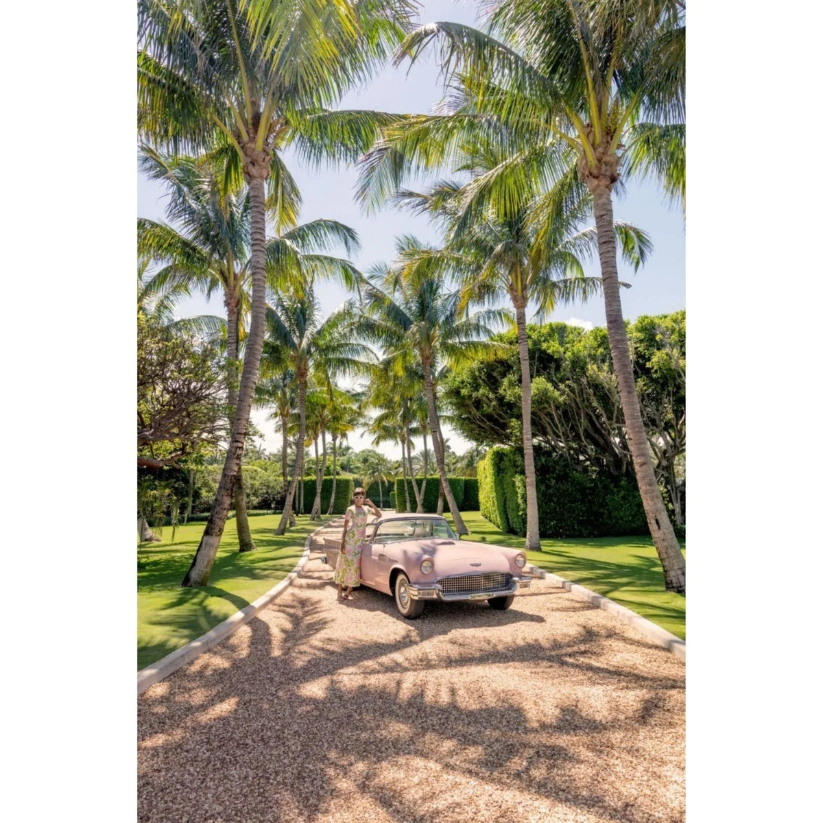 Lady in Lilly, Palm Beach Print by Gray Malin – The Well Appointed House