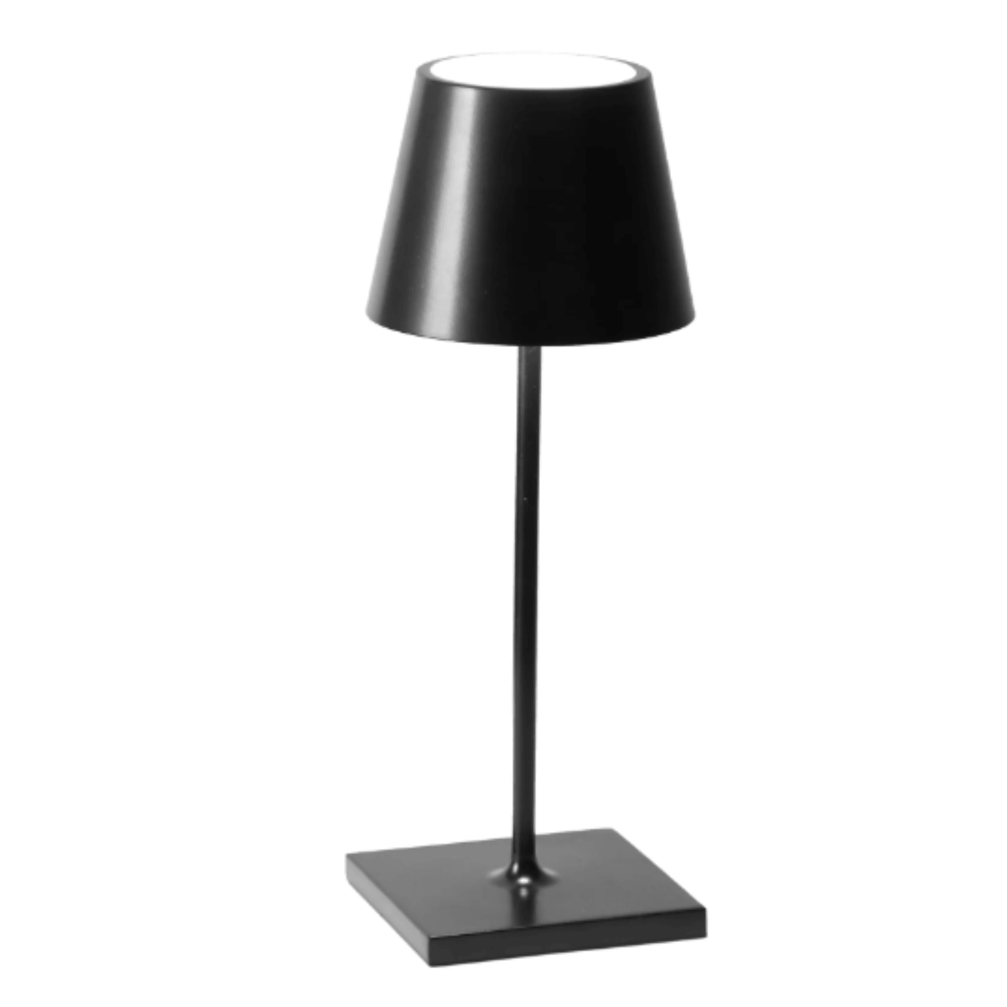 Mini LED Indoor/Outdoor Cordless Lamp - Available in Various Color Opt ...