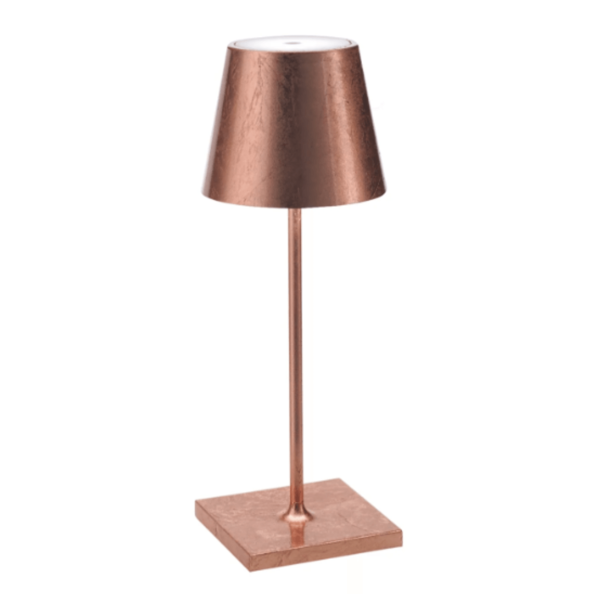 Mini LED Indoor/Outdoor Cordless Lamp - Available in Various Color Opt ...