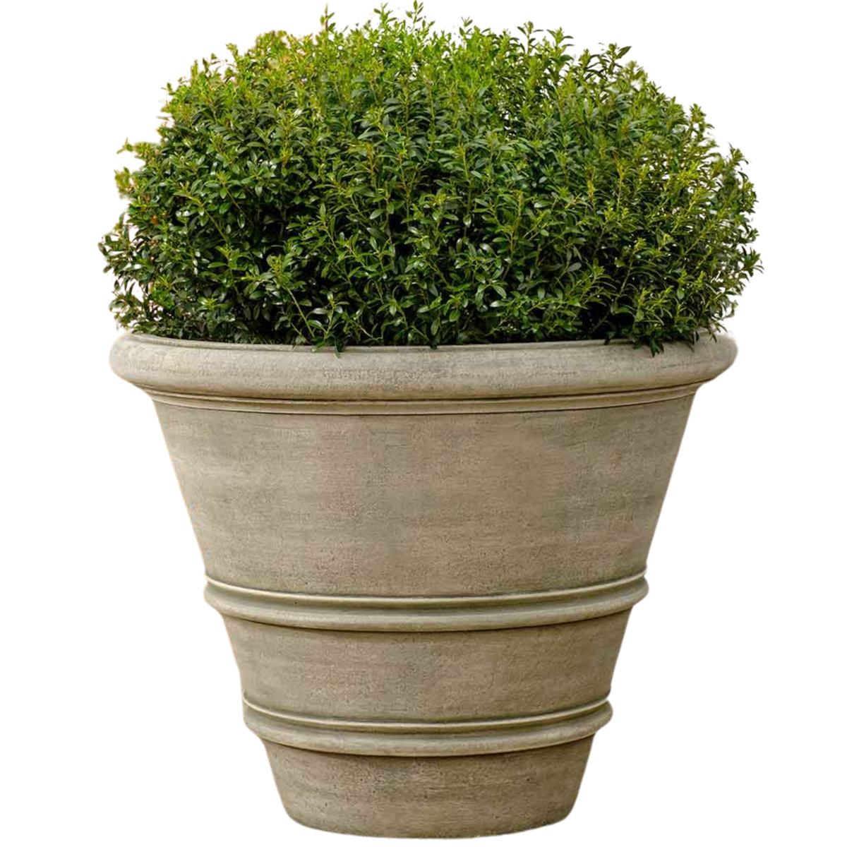 Large Classic Rolled Rim Planter – The Well Appointed House