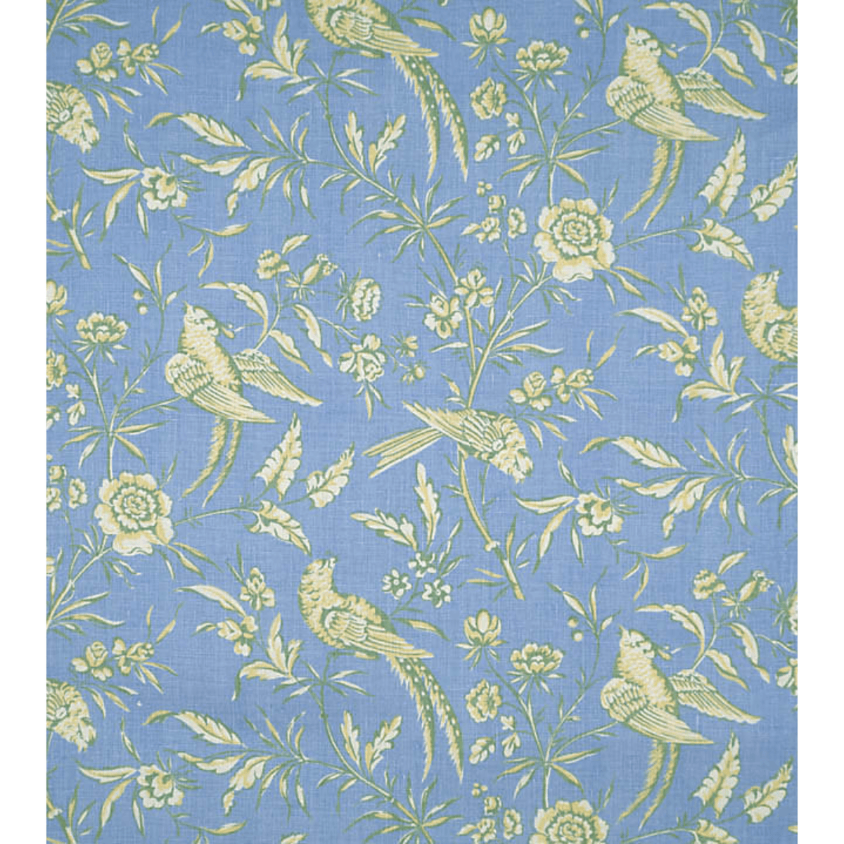 Scalamandre Aviary Linen Fabric in Sky Blue – The Well Appointed House