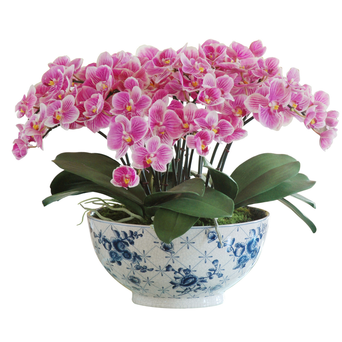 Small Pink Orchid in Rose Trellis Bowl – The Well Appointed House