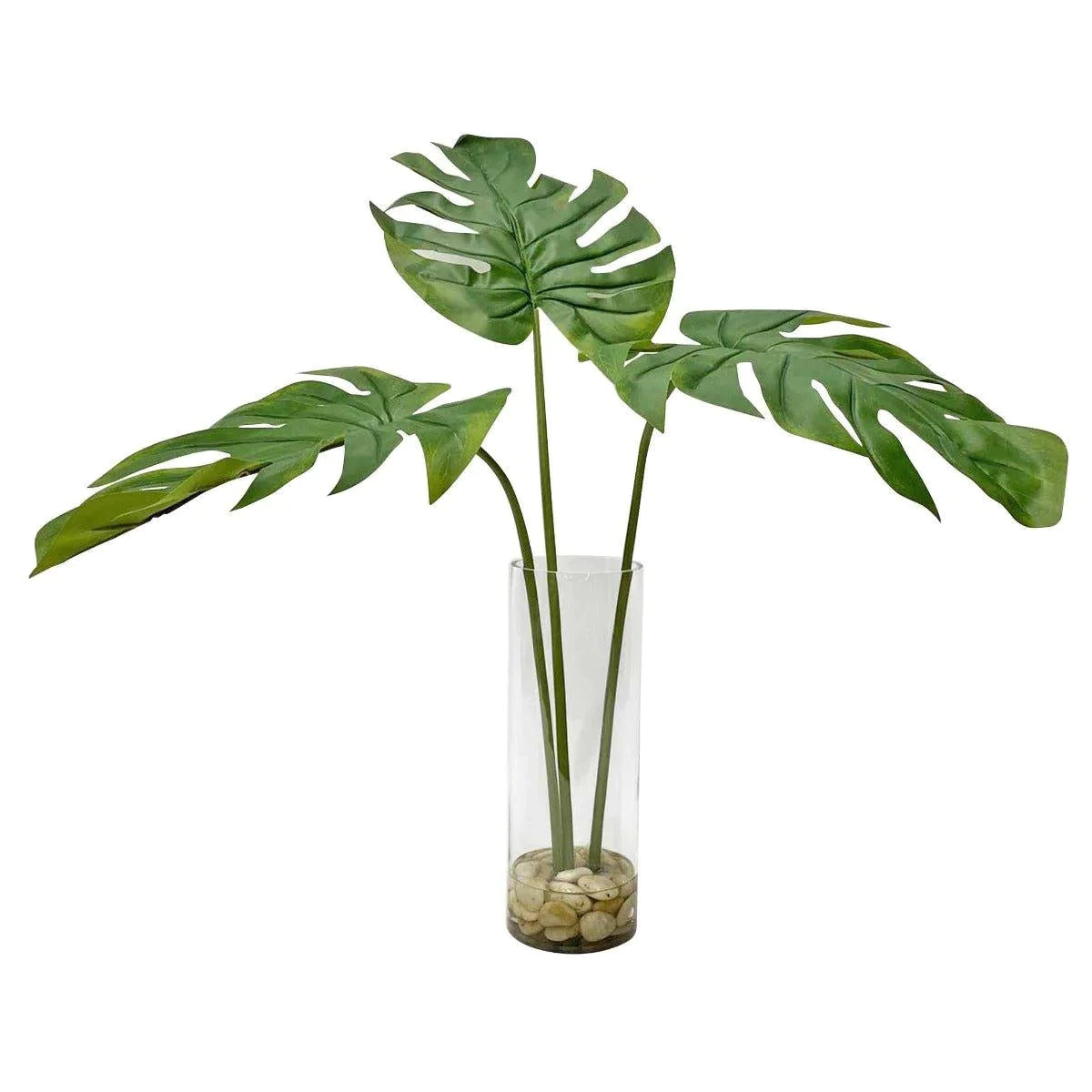 Split Leaf Palm Trio with Glass Vase – The Well Appointed House