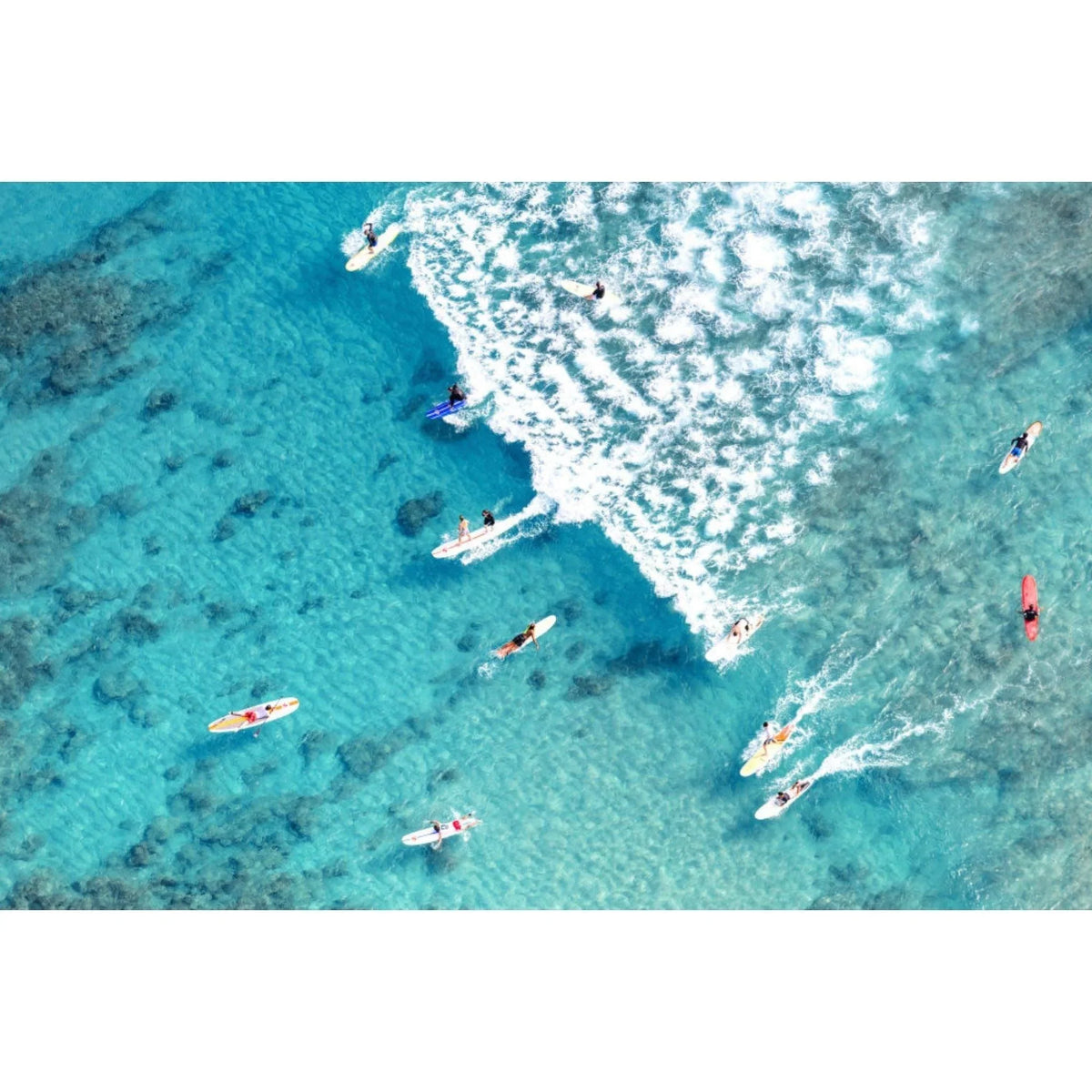 Surfing Waikiki Print by Gray Malin – The Well Appointed House