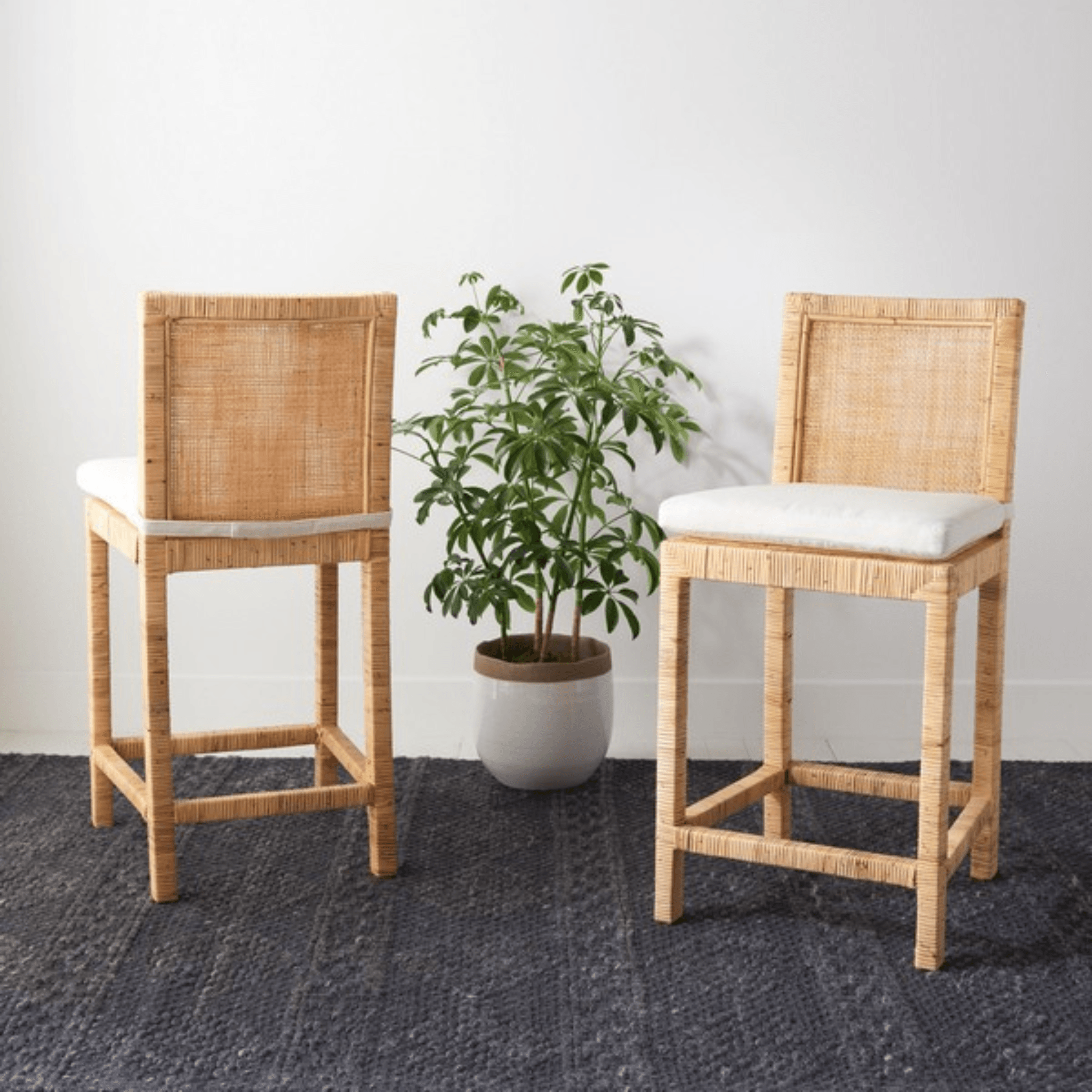 Cane Counter Stool With Cushion – The Well Appointed House